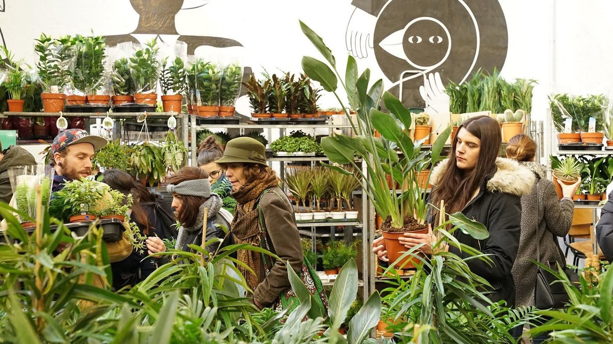 Plantes Pour Tous revient à Nantes avec sa grande vente de plantes à 2 ... Plantes Pour Tous revient à Nantes avec sa grande vente de plantes à 2 ...