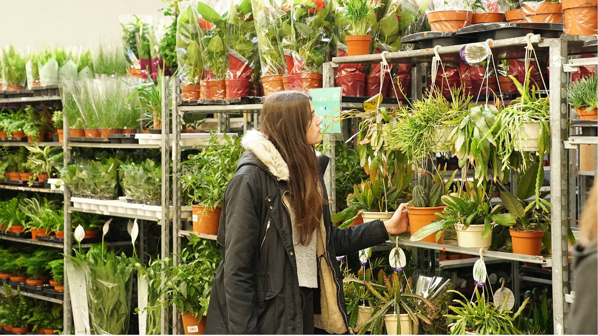 Plantes pour tous : la grande vente éphémère de plantes revient à Nice ... Plantes pour tous : la grande vente éphémère de plantes revient à Nice ...