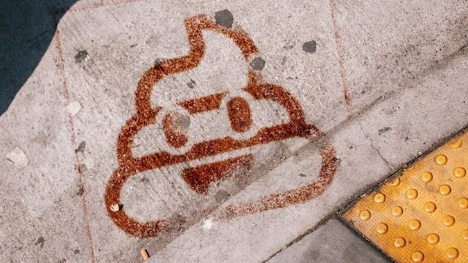 Snapcrap : l’appli pour dénoncer les crottes dans la rue Le Bonbon