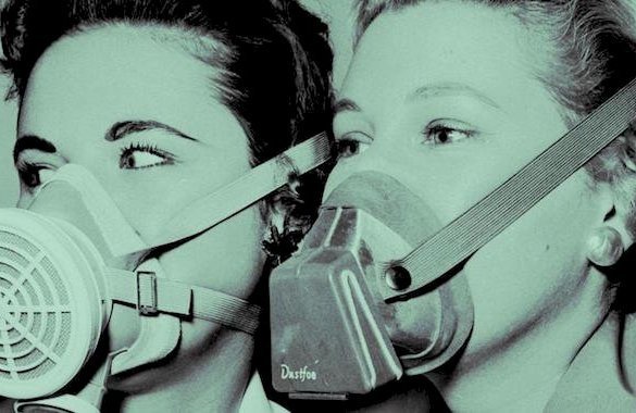 Ce que vous avez toujours voulu savoir sur le pet | Le Bonbon