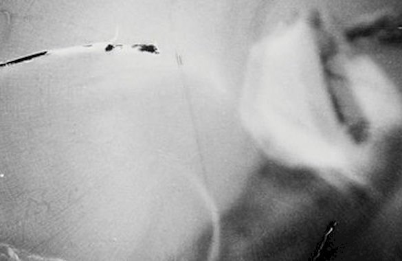 Dani Lessnau, l\'artiste qui photographie ses amants depuis son vagin ...