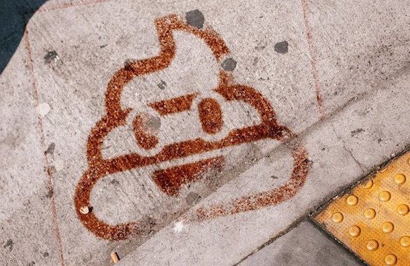 Snapcrap : l’appli pour dénoncer les crottes dans la rue | Le Bonbon