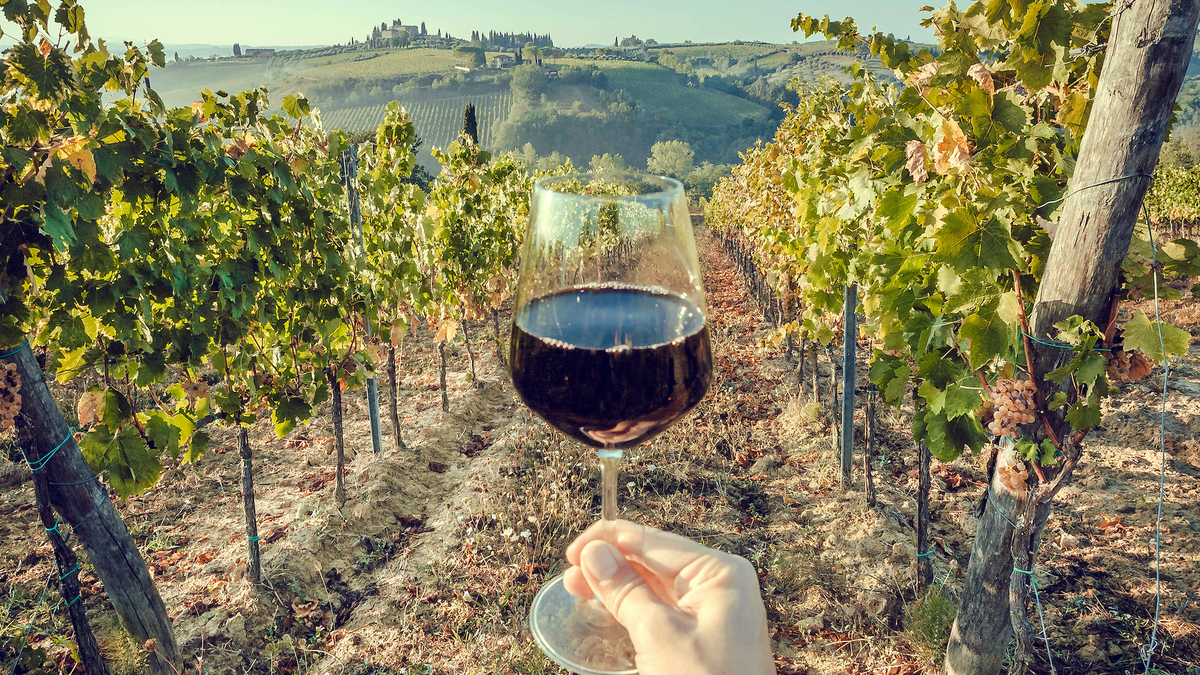 L'Institut Français de la Vigne et du Vin recherche des testeurs pour ...