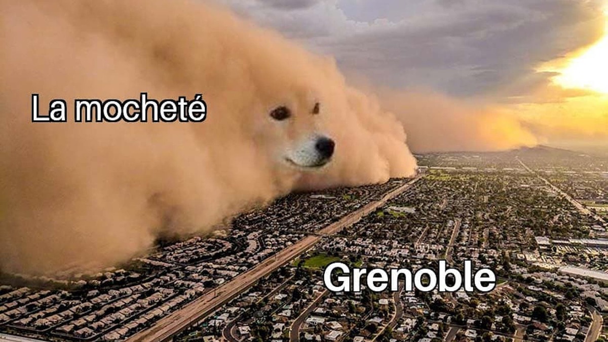 Memesdelyon, le compte Instagram de mèmes lyonnais à mourir de rire ...