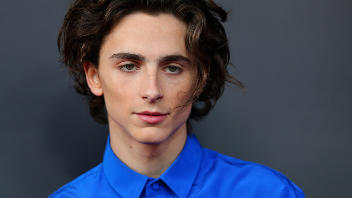 Timothée Chalamet sera Willy Wonka dans le prochain "Charlie et la ...