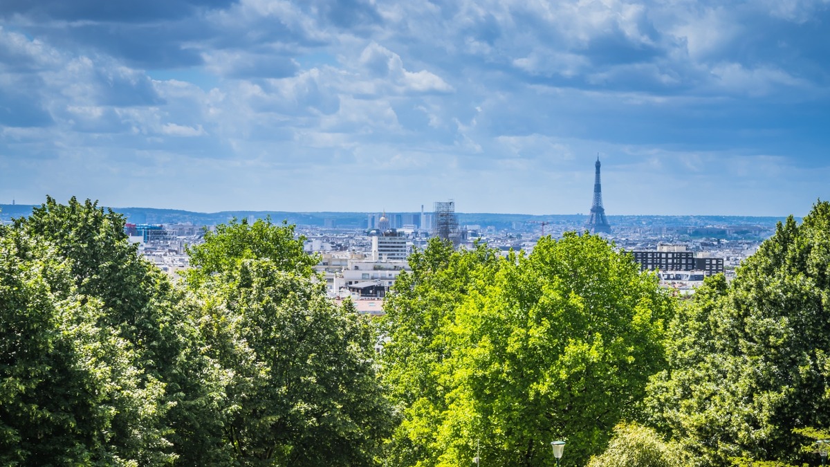 Boomforest, des forêts en open source pour le Grand Paris | Le Bonbon