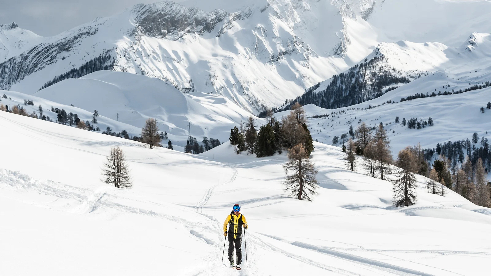 Ski dans les Alpes du Sud : les stations de Vars et du Queyras entre ...