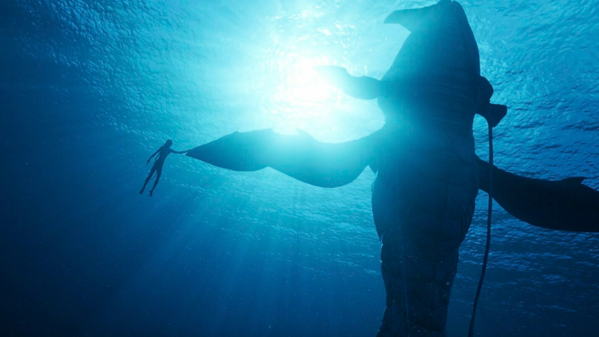 Avatar : une saga écolo dont nous sommes les méchants | Le Bonbon