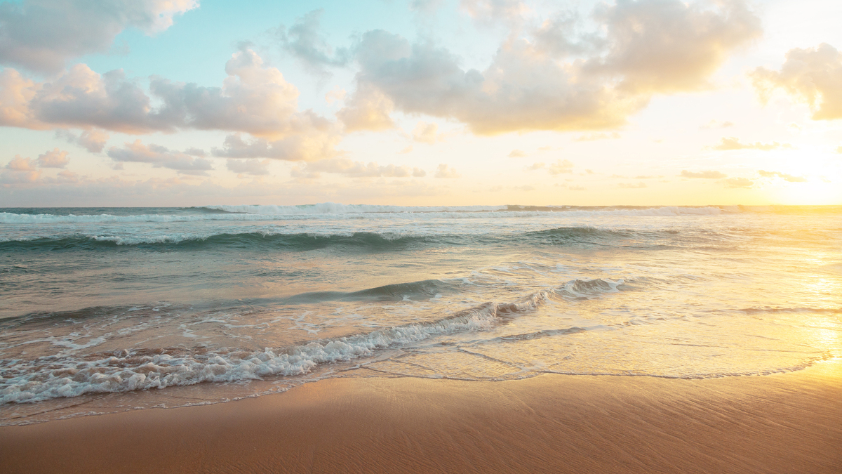 4 beaches less than 2h30 from Paris by train | Le Bonbon