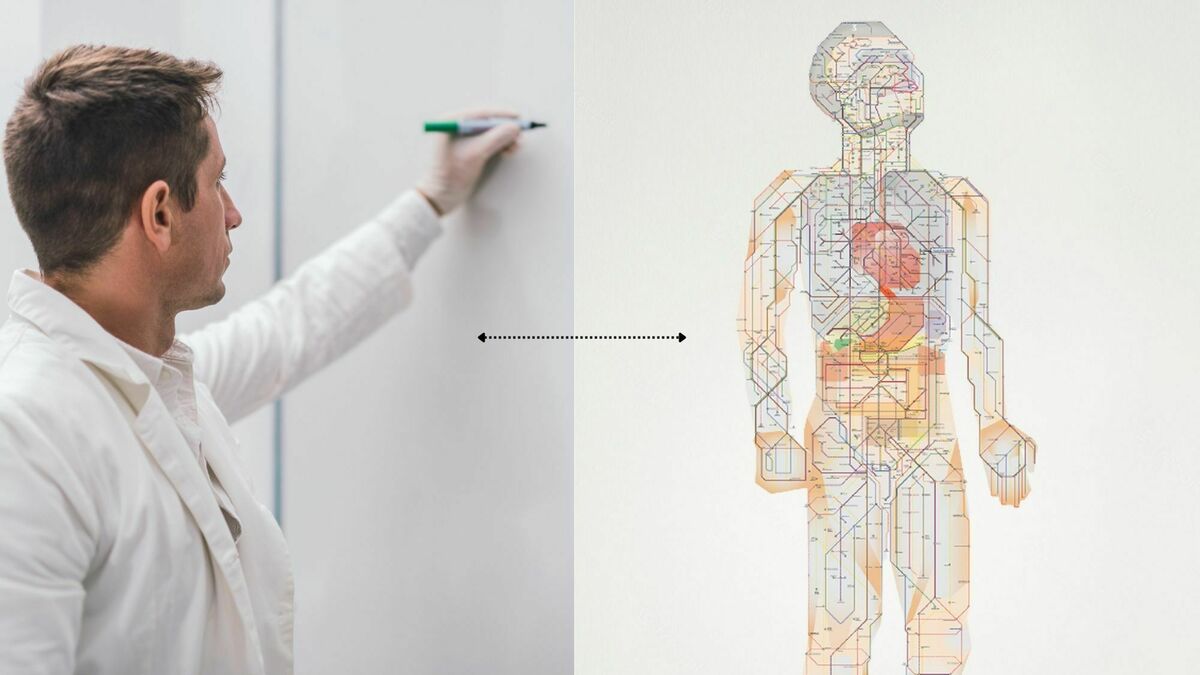 Un médecin a créé une carte de métro du corps humain | Le Bonbon