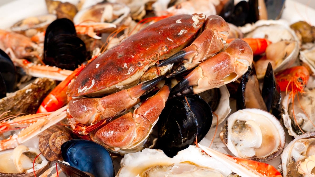 Où déguster des fruits de mer à Dijon ? | Le Bonbon