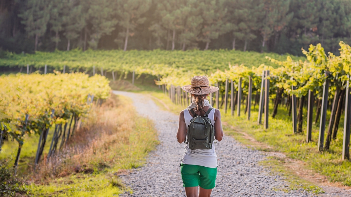 Une randonnée de 160 km parcourt toute la Métropole de Bordeaux | Le Bonbon