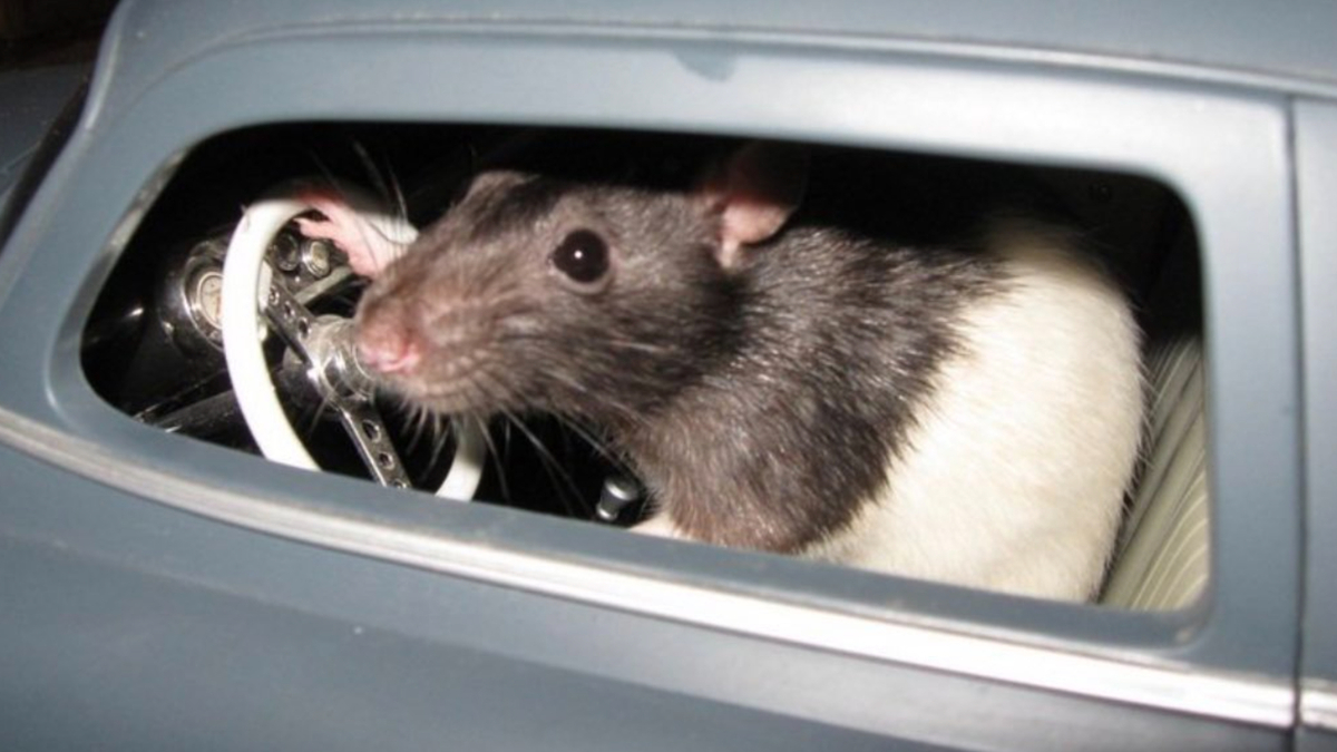 22 signes qui montrent que vous êtes un·e giga radin·e en soirée | Le ...