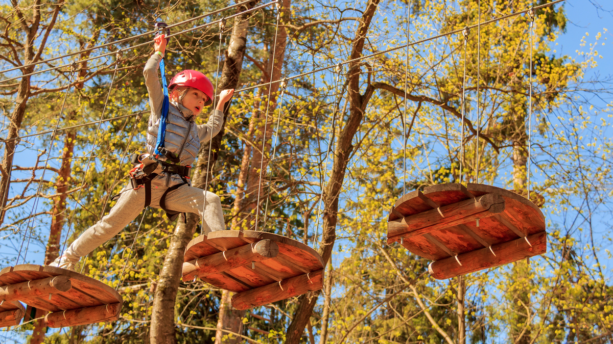 Le premier accrobranche vient d'ouvrir ses portes sur l'Île de Nantes ...