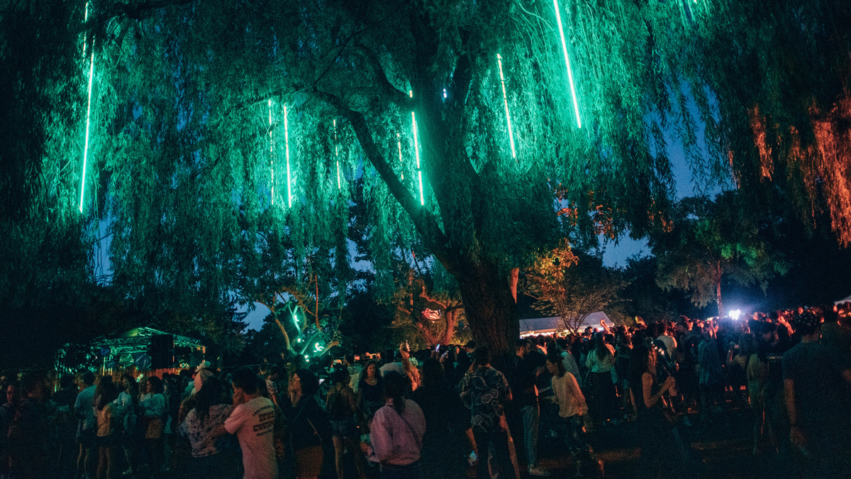 10 ans du Macki Festival : les 50 noms de cette prochaine édition d ...