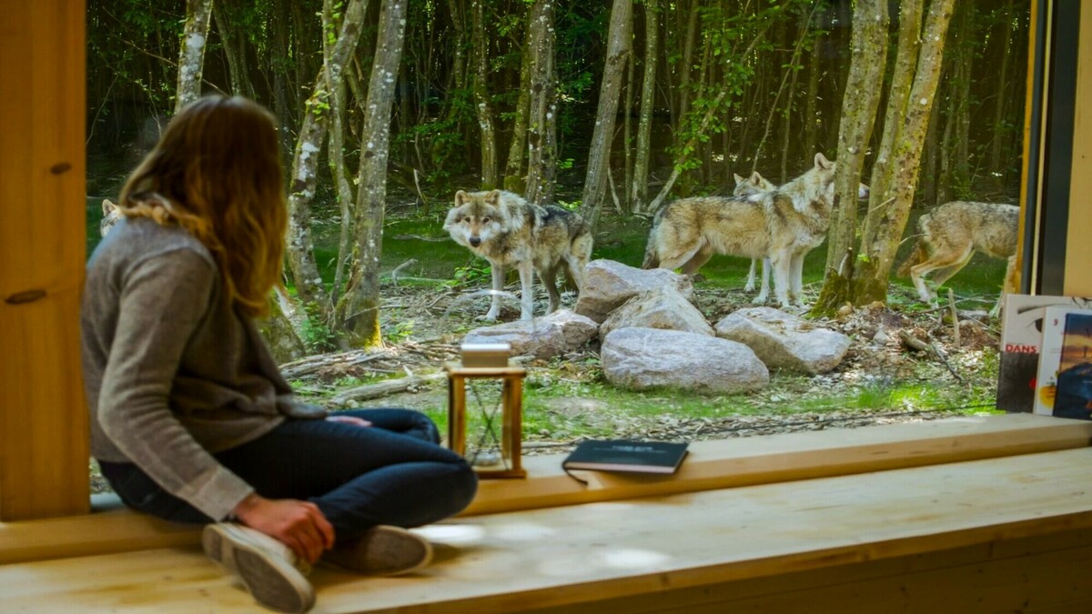 Une fabuleuse nuit dans un lodge au milieu des loups à 1h de Strasbourg ...