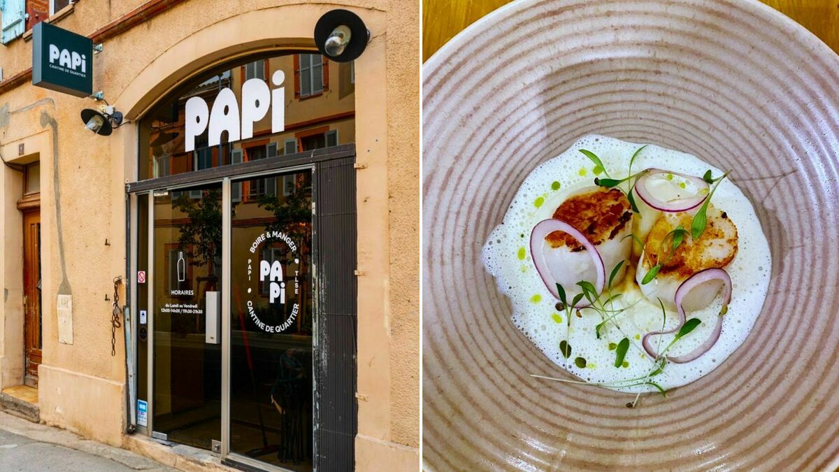Papi : le nouveau restaurant gastro-vino qui régale Toulouse ! | Le Bonbon