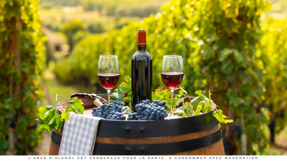 Marché aux vins de Chavanay : une 100e édition avec plus de 50 ...