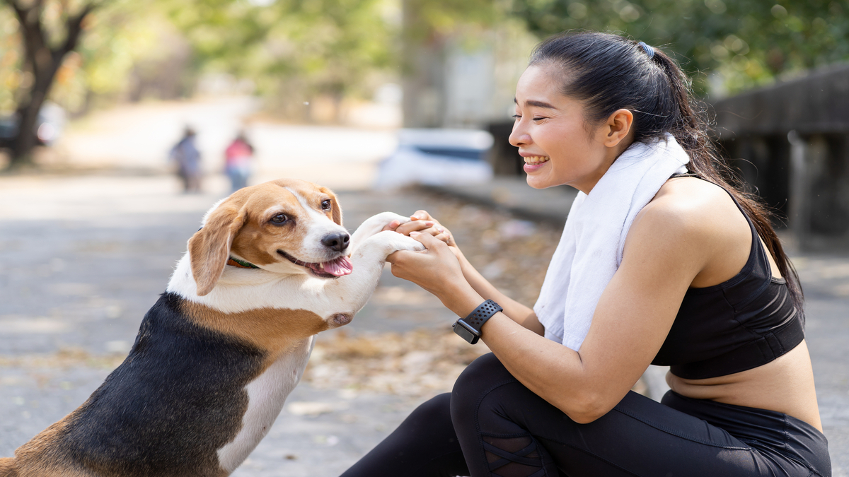 Les meilleurs spots pour se balader avec son chien à Nantes | Le Bonbon