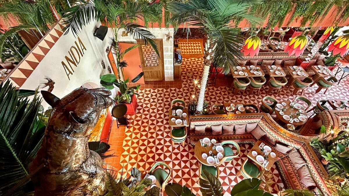 Les nouveaux afterworks artistique du mercredi au cœur de la jungle ...