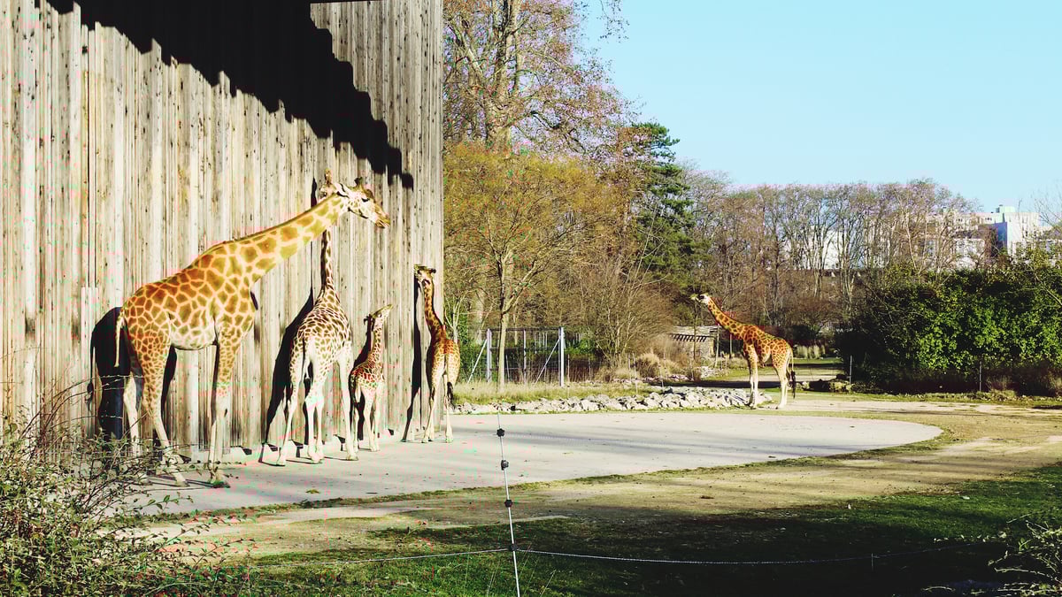 La mairie écologiste de Lyon va transformer le zoo du Parc de la Tête d ...