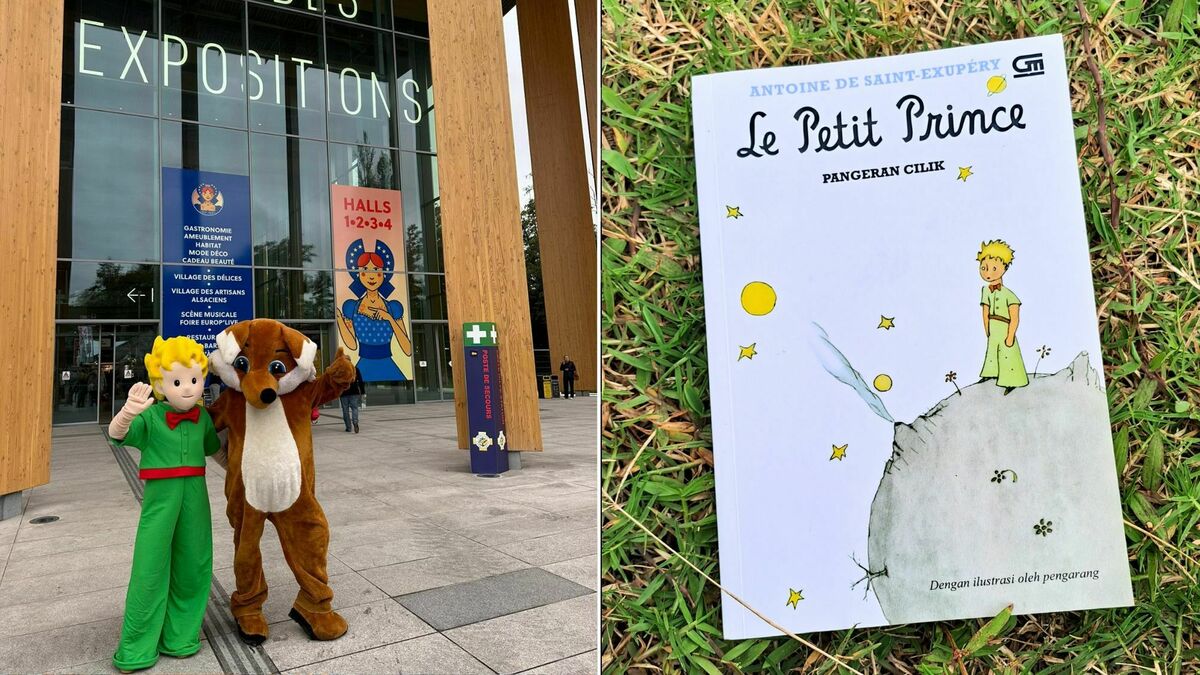 An exhibition dedicated to the Little Prince will light up Strasbourg ...