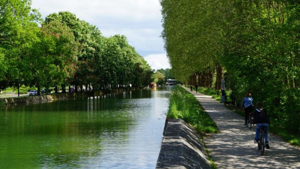 Péniches, bars et jardin aquatique : les futures berges en chantier ...