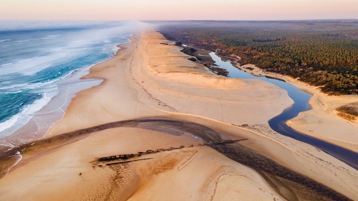 Cette plage à 120 km de Bordeaux est surnommée la petite Amazonie des ...