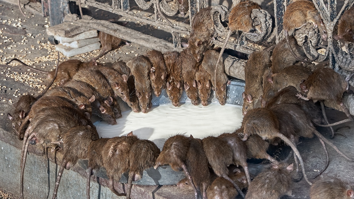 Andiipoops nudes it didn’t was a wonderful experience,