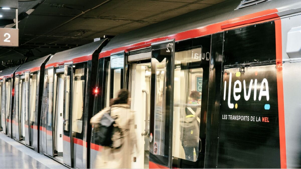 No more trams until school starts: what you need to know to survive the ...