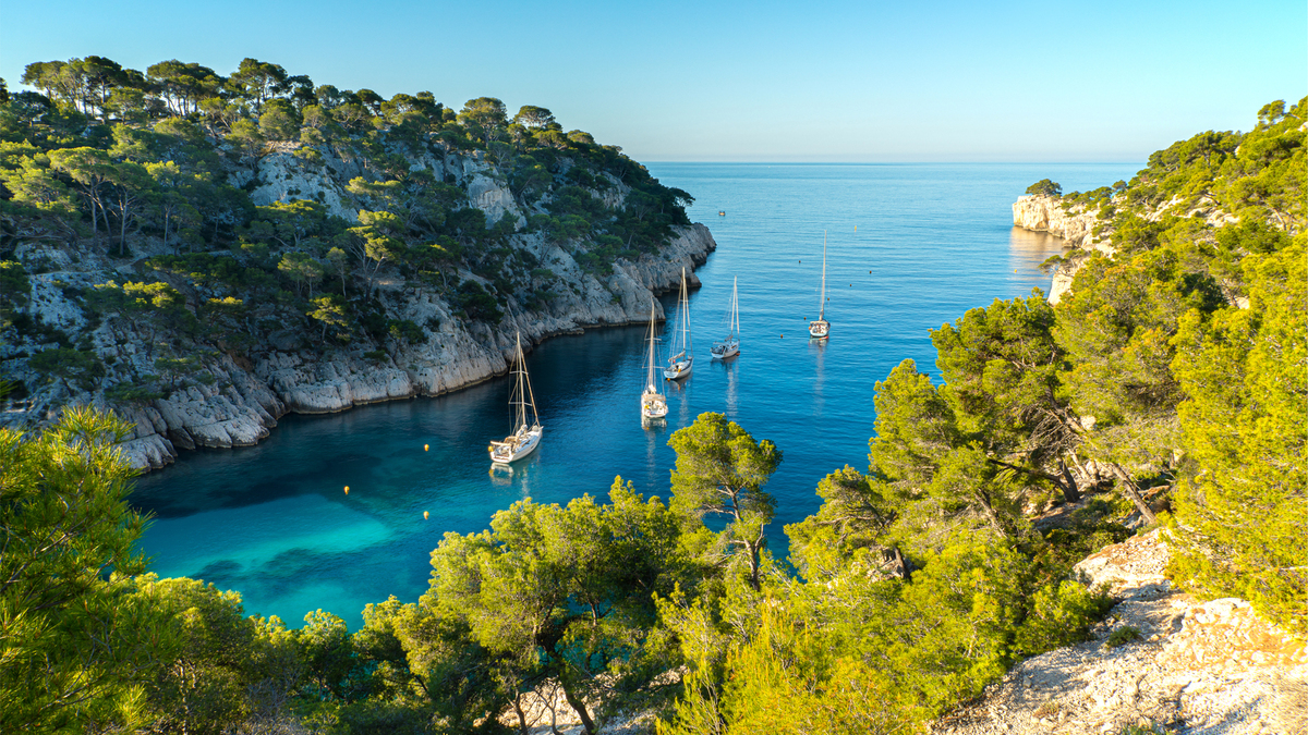 Baby alien potn she provided me clear directions to an