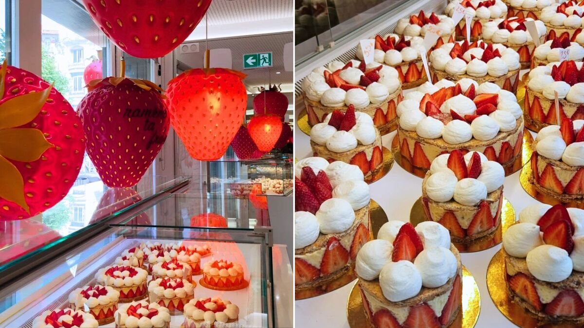 This pastry shop that just opened in Toulouse offers the best ...