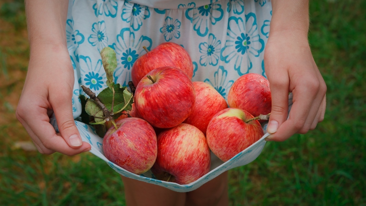 Cette carte interactive vous indique où ramasser des fruits ...