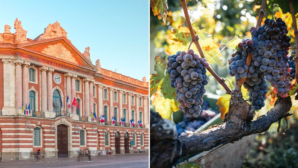 Une grande fête des vendanges avec 40 vignerons sur la place du ...