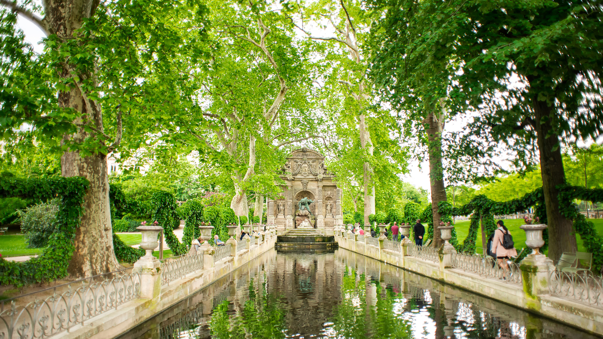 It's proven, Parisian trees save lives! | Le Bonbon