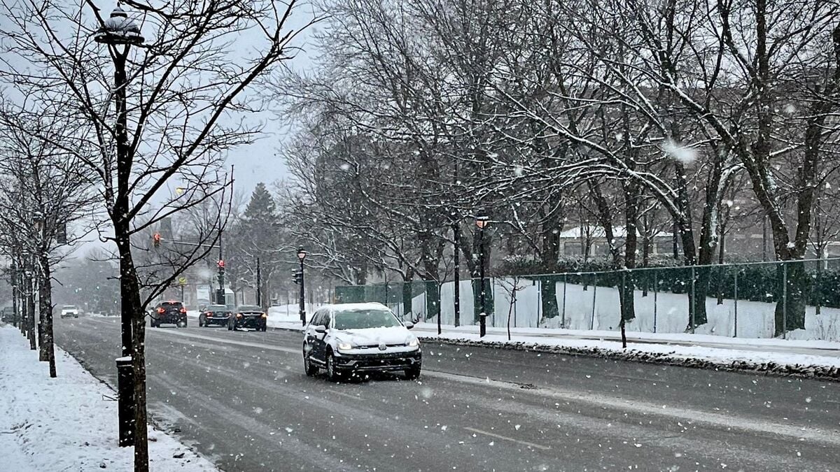 Météo : après la neige, une bombe météorologique va frapper Lille ce ...