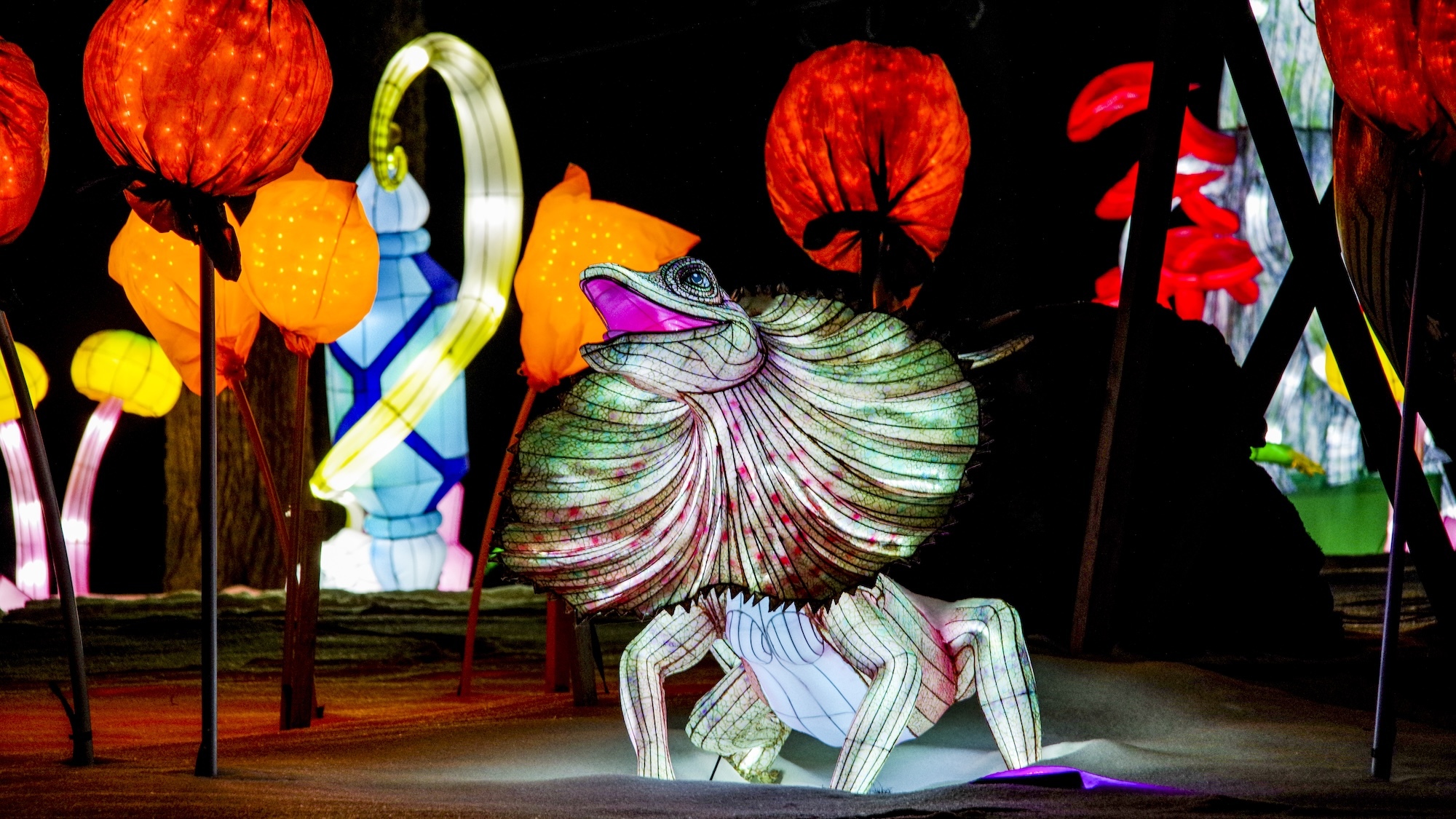 Due to the success it's experiencing, the big lantern festival 2 hours ...