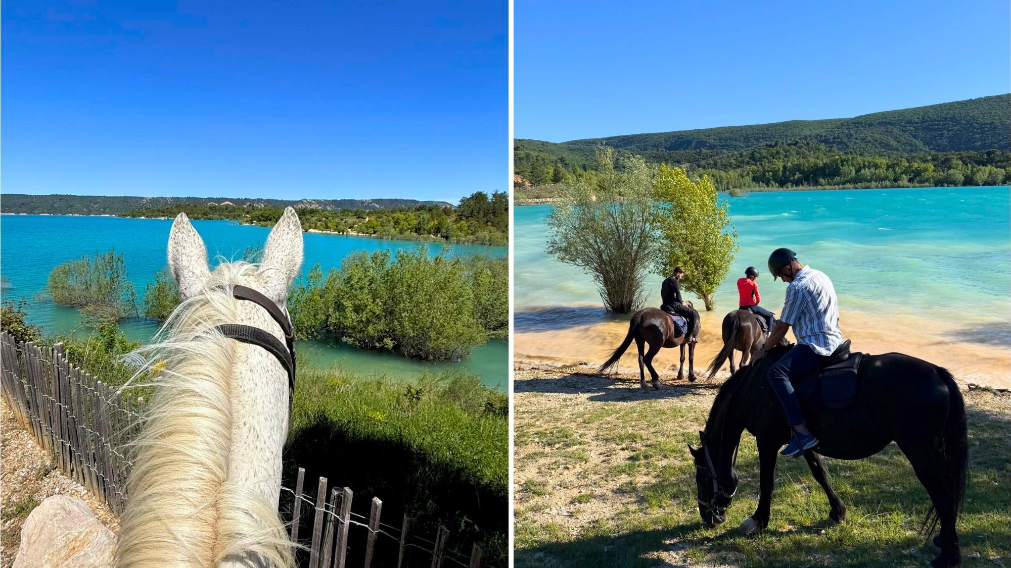 Dans ce ranch à moins 2h de Nice tu peux te balader à cheval au bord de ...